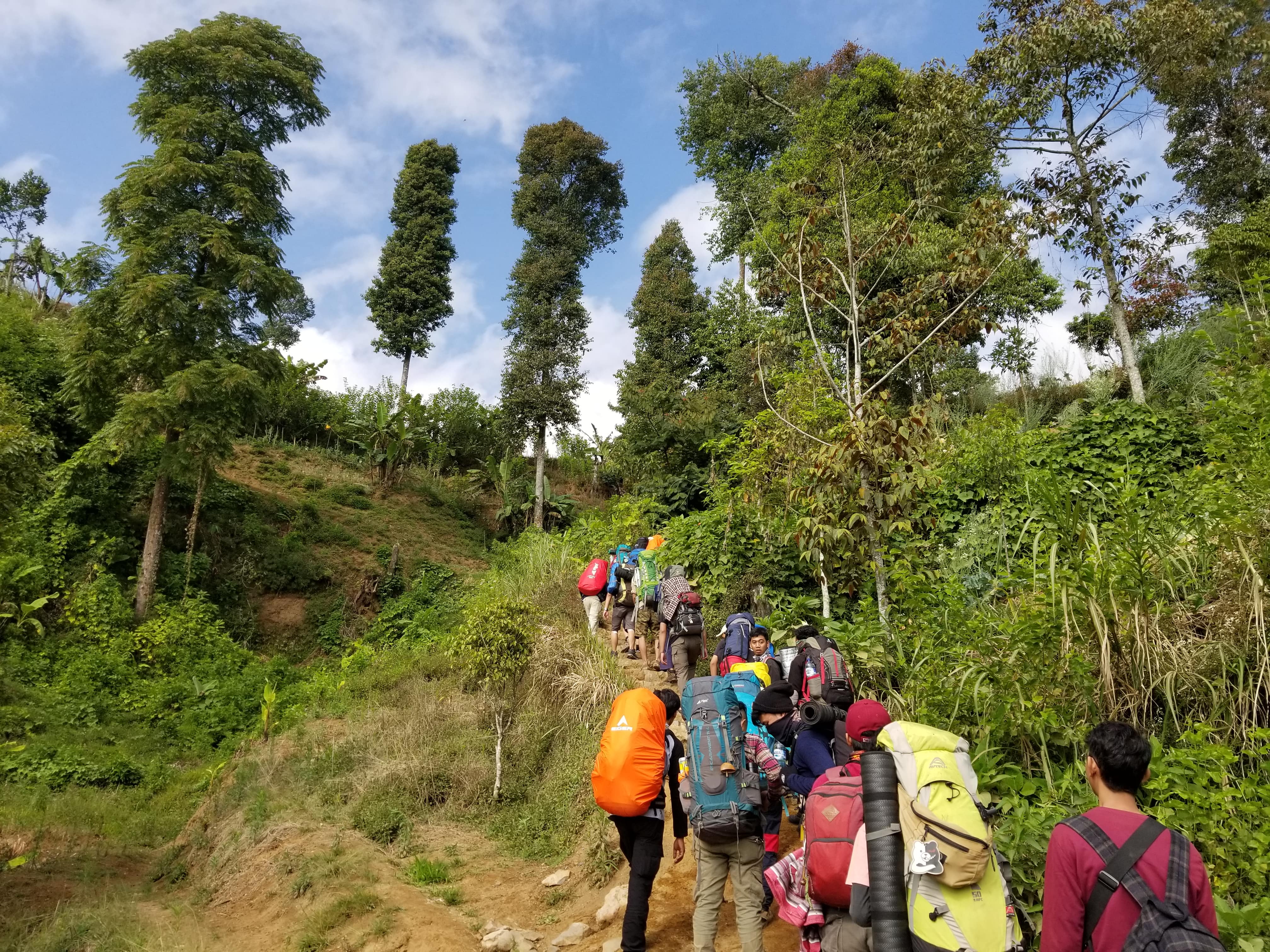 Pendakian Gunung Gede: Putri Lintas Cibodas - Menuju Surya Kencana (2/3 ...
