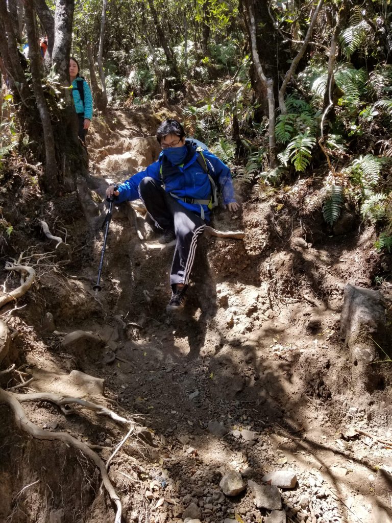 Pendakian Gunung Gede: Putri Lintas Cibodas - Turun Gunung (3/3 ...